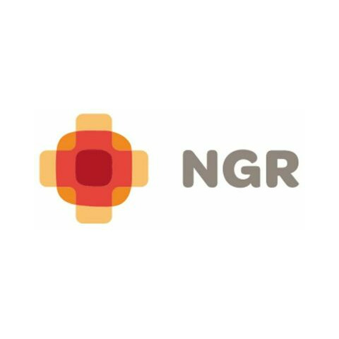 Trabajar en NGR | Empléate UPN
