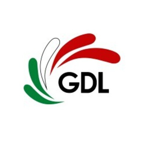 Trabajo Becario de Marketing en GDL Connect | Conecta UP