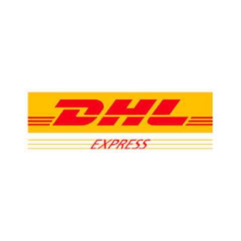 Trabajo PRÁCTICA PROFESIONAL- FIRST CHOICE en DHL Express | Emplea INACAP