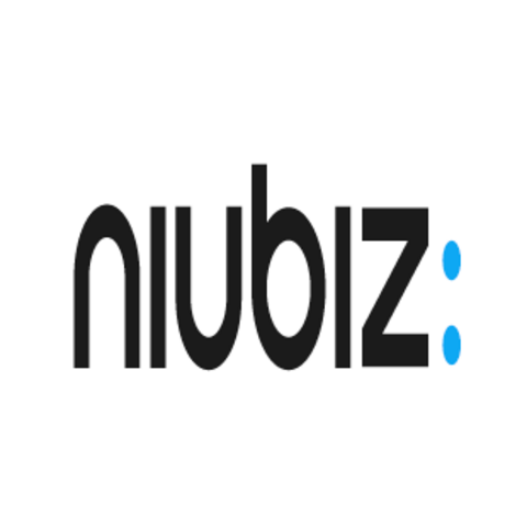 Trabajo PRACTICANTE DE TRANSFORMACION DE PROCESOS en NIUBIZ - CIA ...