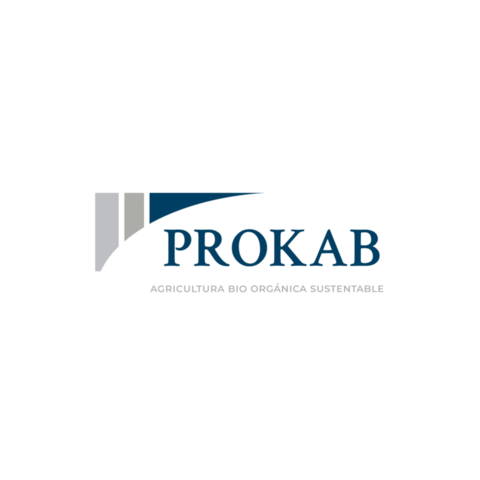 Trabajar en Prokab SpA | alumniUANDES
