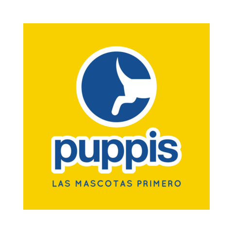 Trabajar en PUPPIS | Conectar UdeSA