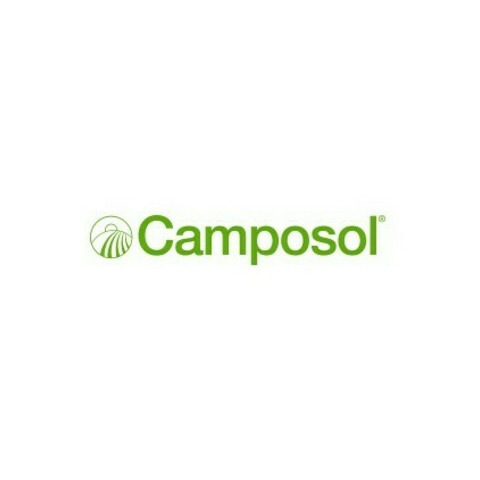 Trabajo Practicantes Profesionales de Persona y Cultura - Camposol ...