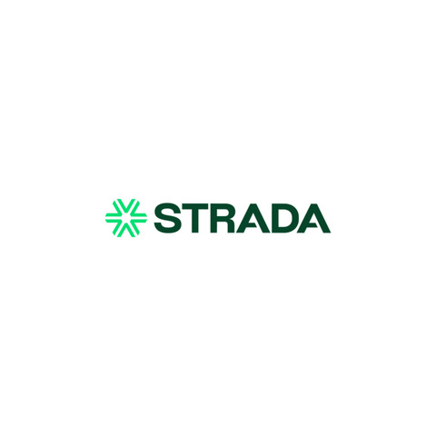 Trabajo Workday Functional / Technical Trainee en Strada Global ...