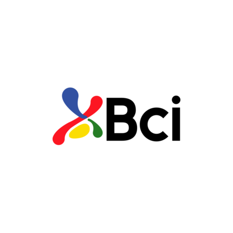 Trabajo Práctica Profesional Cultura y Oferta de Valor en Banco BCI ...
